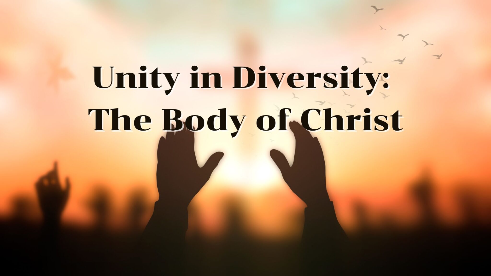 Unity in Diversity: The Body of Christ - Lakeview Christian Church
